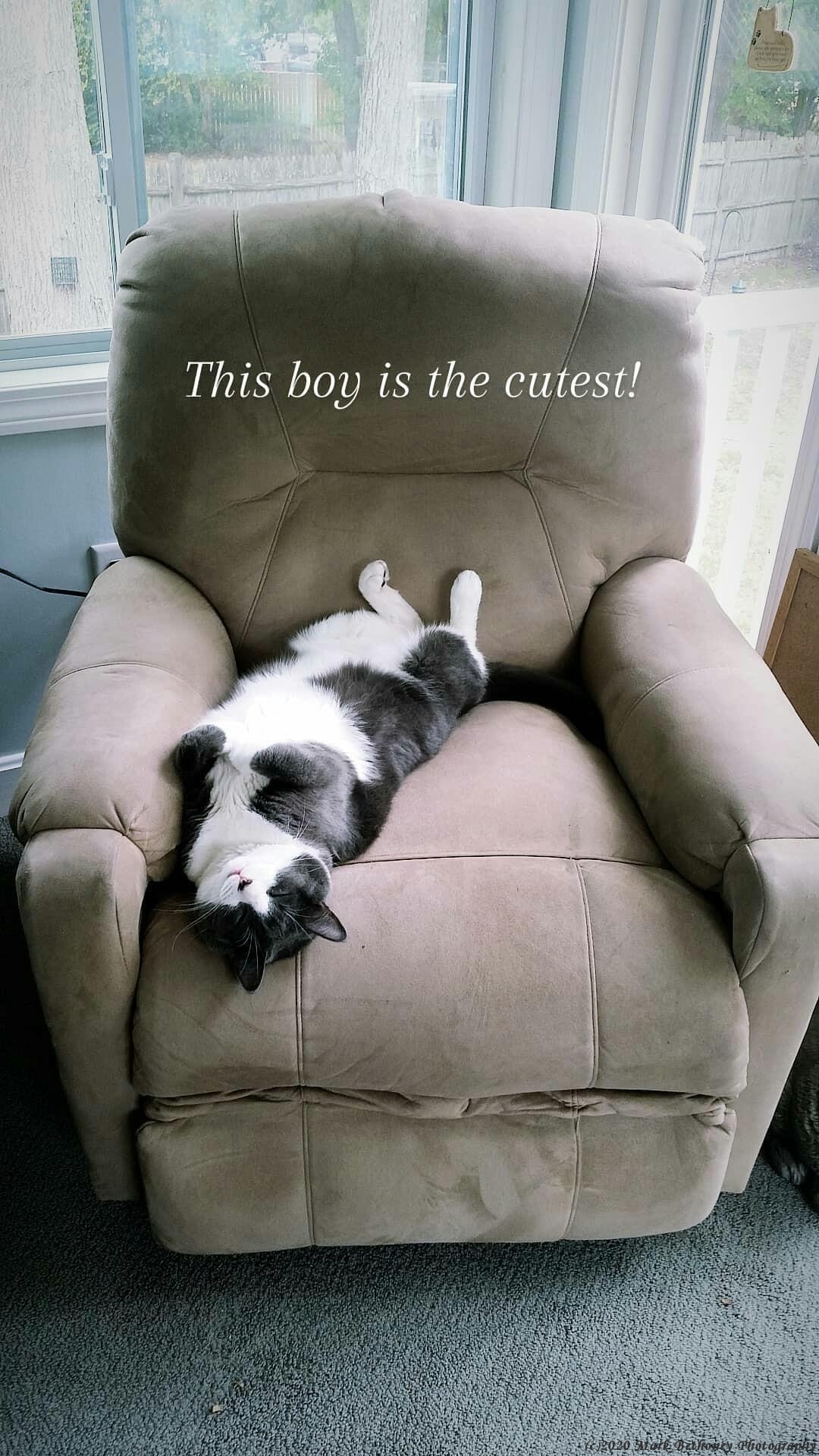 A Day in the Life of Carson – Hatchetation