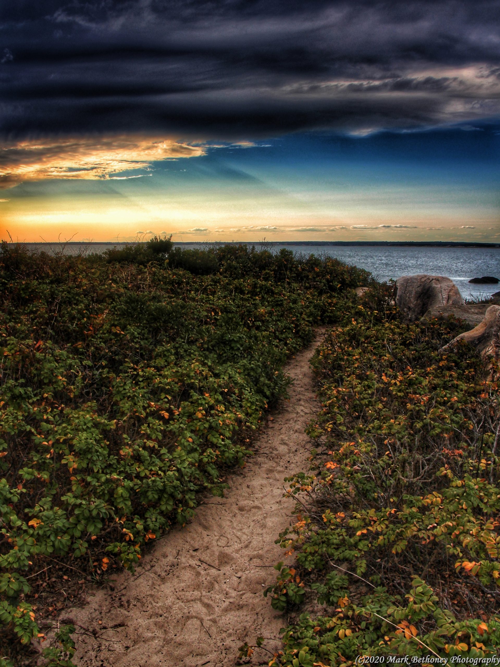 Gooseberry Beach Paths Take Me to the Ocean – Hatchetation