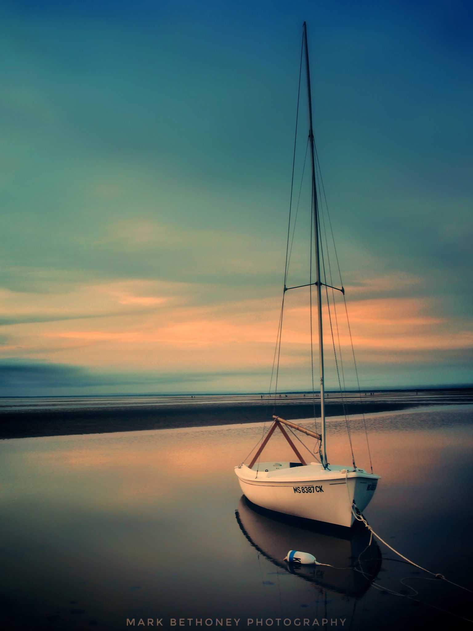 Hatchetation – Chopped and Blogged in Nice Chewable Bytes!