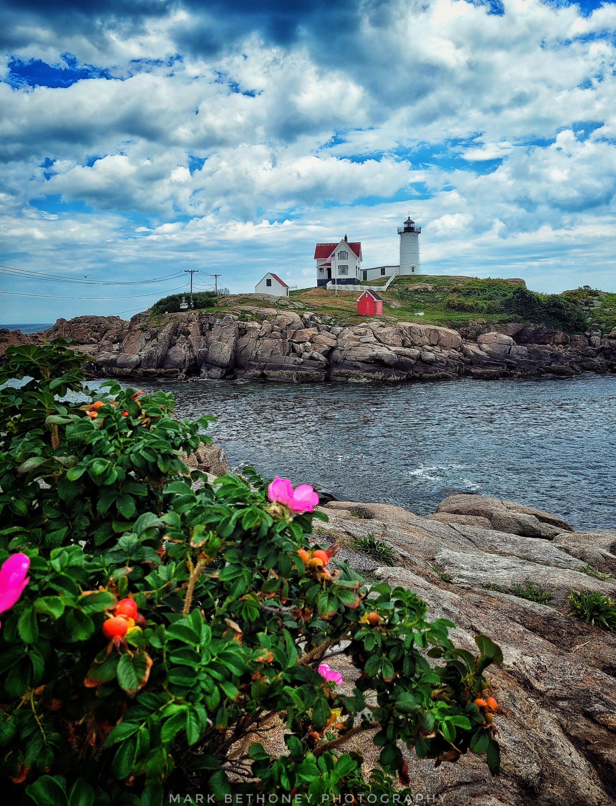 Hatchetation – Chopped and Blogged in Nice Chewable Bytes!